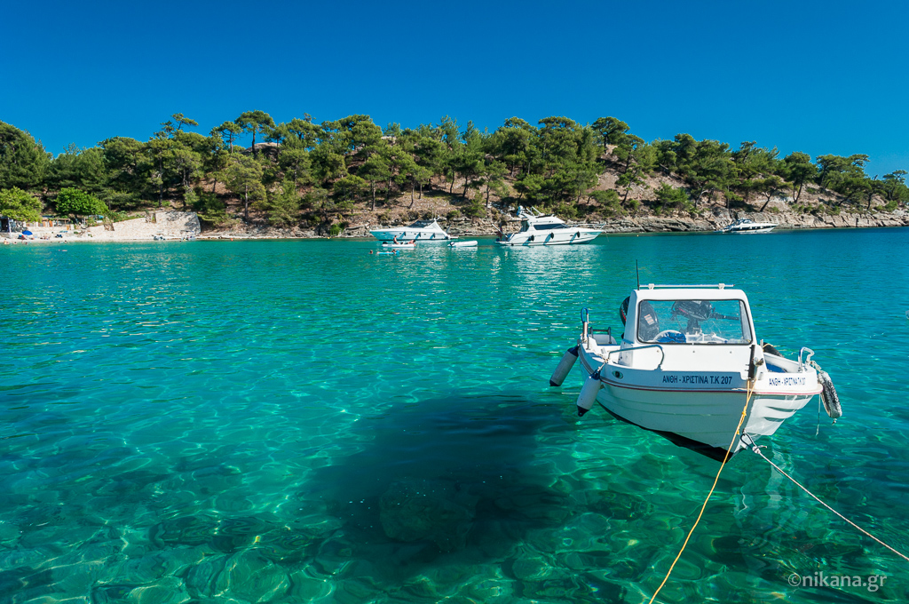 TASOS Leto 2026 | Alta Marea